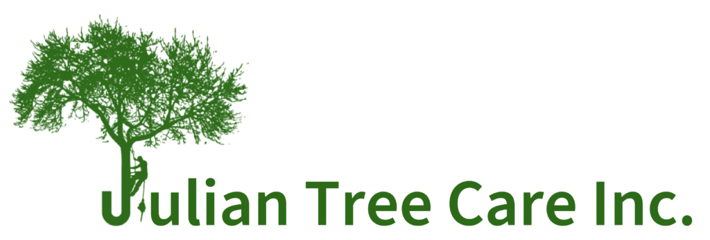Contact Julian Tree Care in Richmond, CA for Expert Tree Services